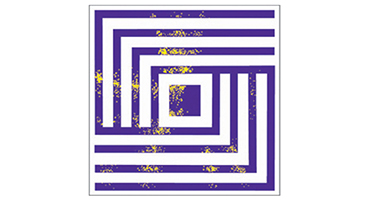 VERIFY Bowie Dick Test Pack | STERIS