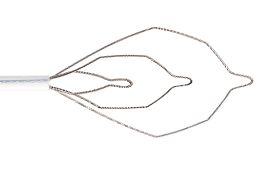 CoinTip Snare - Hot and Cold Polypectomy Snare | STERIS